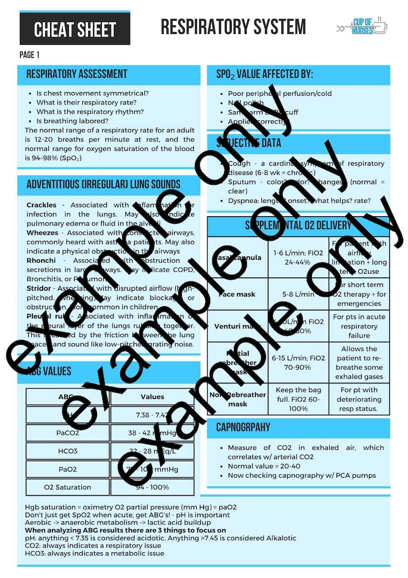 Nursing Respiratory System Cheat Sheet - Etsy