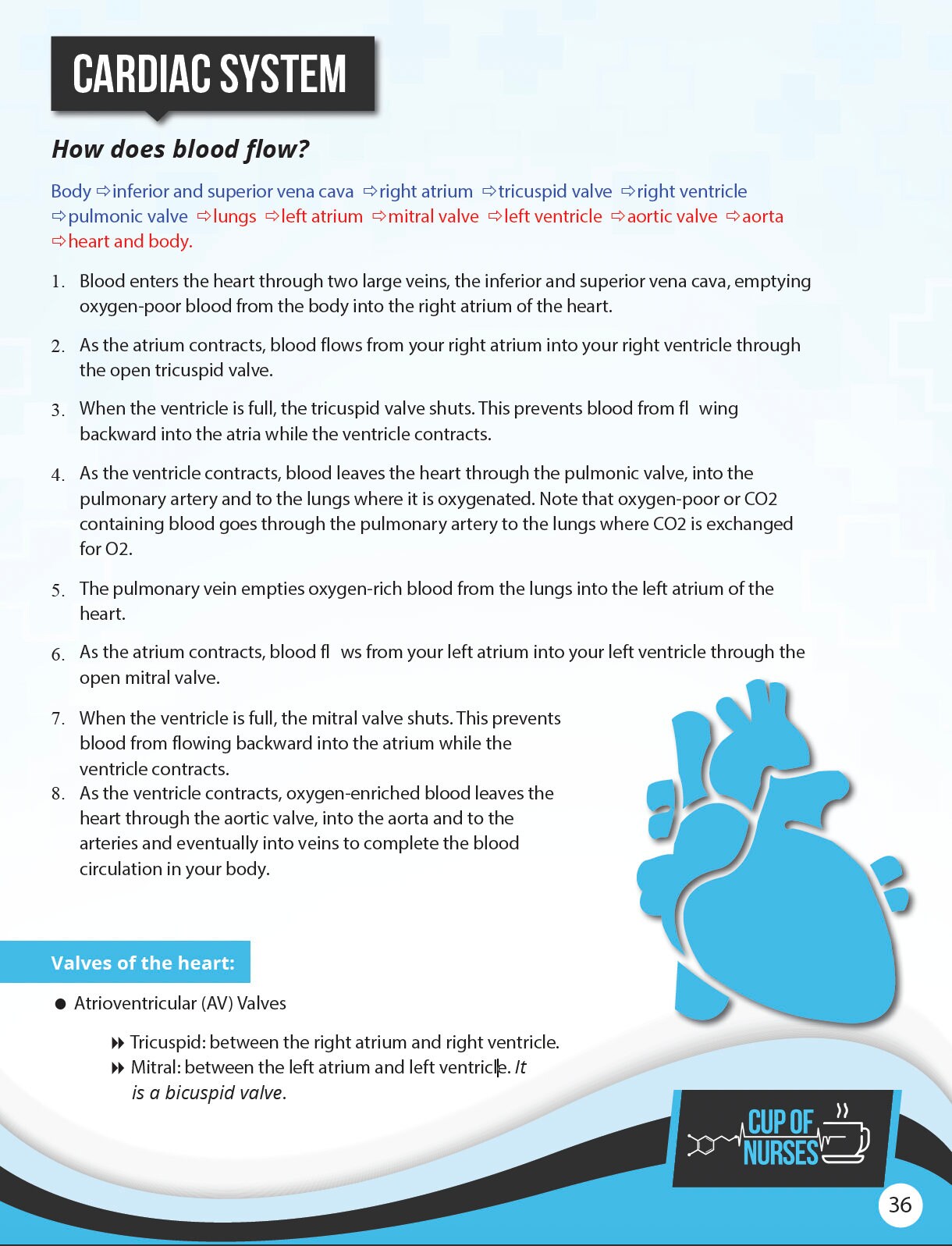 Nursing NCLEX Study Guide PDF 2023 Edition - Etsy