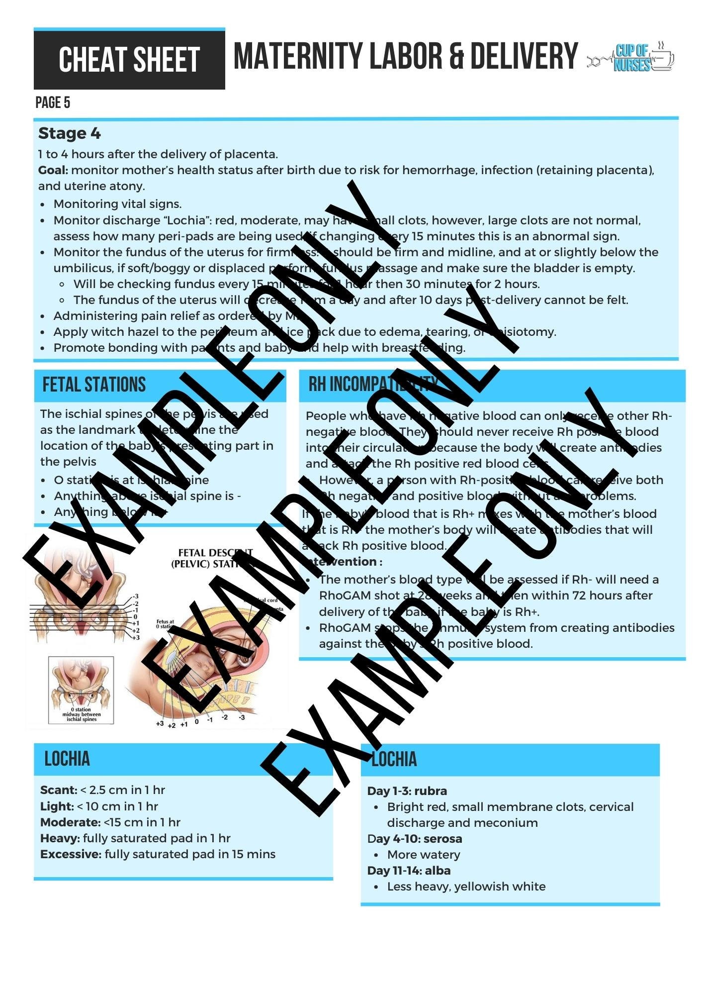 Nursing Maternity Labor and Delivery Cheat Sheet/study Guide - Etsy