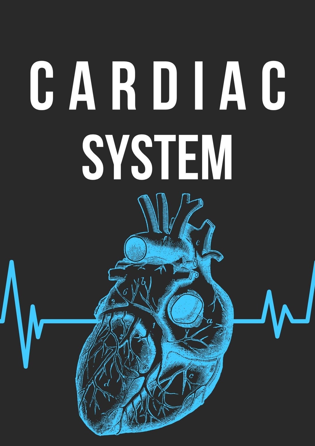 Nursing Cardiovascular and EKG Cheat Sheet - Etsy