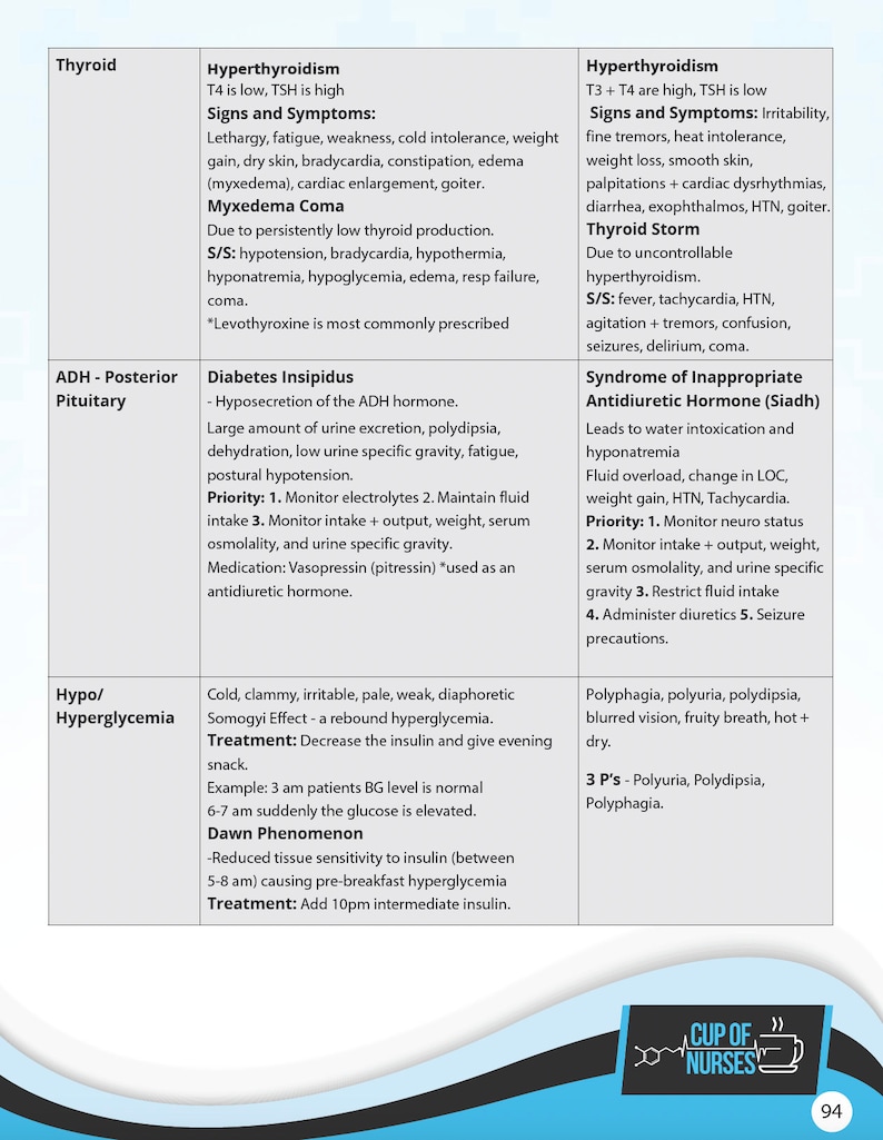 Nursing NCLEX Study Guide PDF 2023 Edition - Etsy