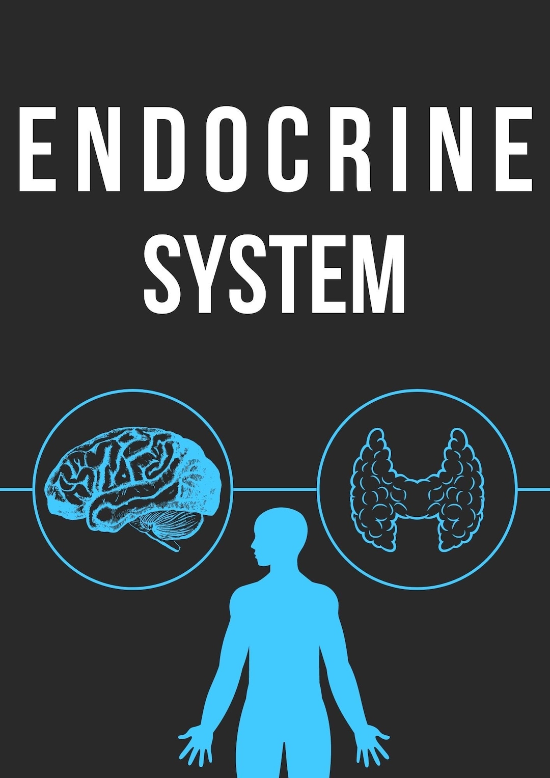 Nursing Endocrine Cheat Sheet - Etsy