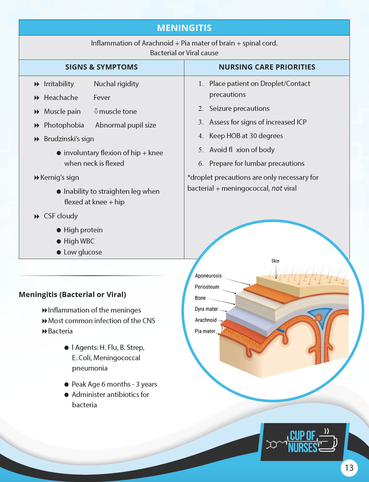 Nursing NCLEX Study Guide PDF 2023 Edition - Etsy