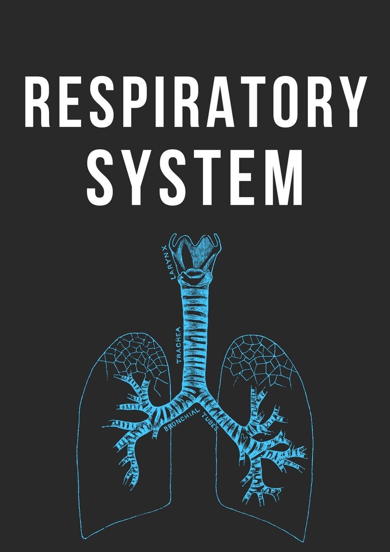 Nursing Respiratory System Cheat Sheet - Etsy