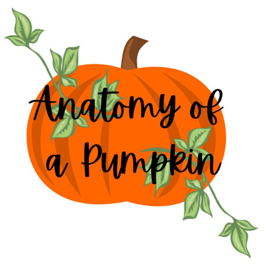 Anatomy of a Pumpkin (4 Page Worksheet) - Etsy