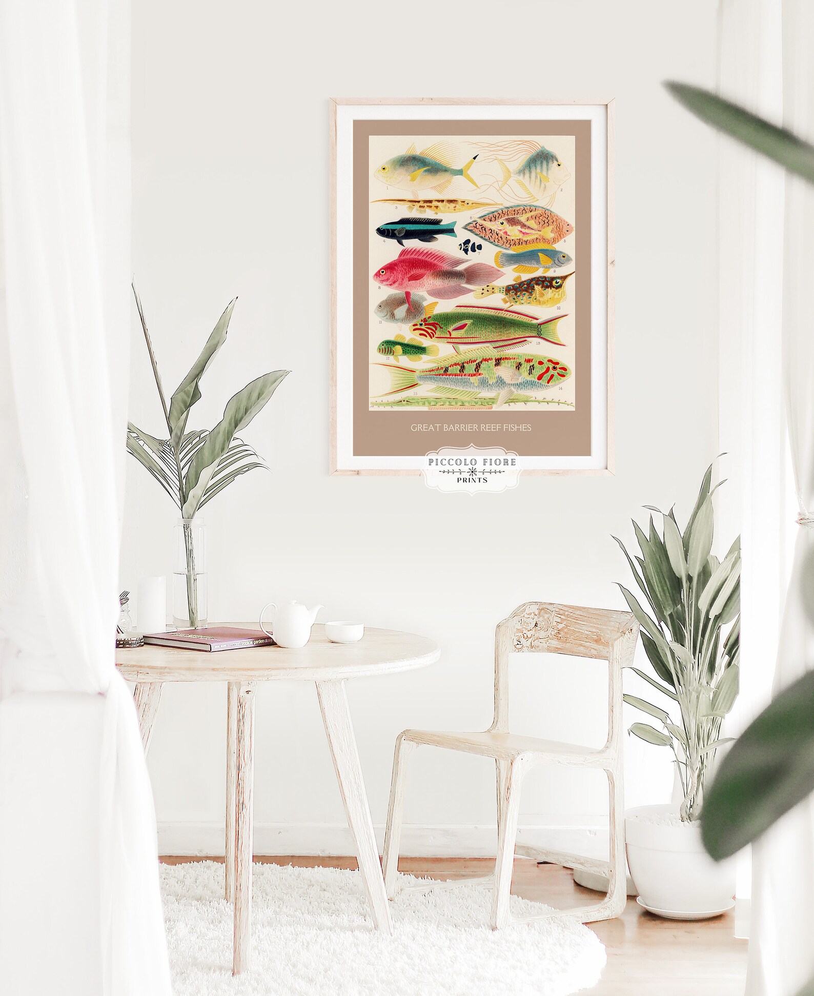 Vintage Fish Print Great Barrier Reef Australia Art Print - Etsy