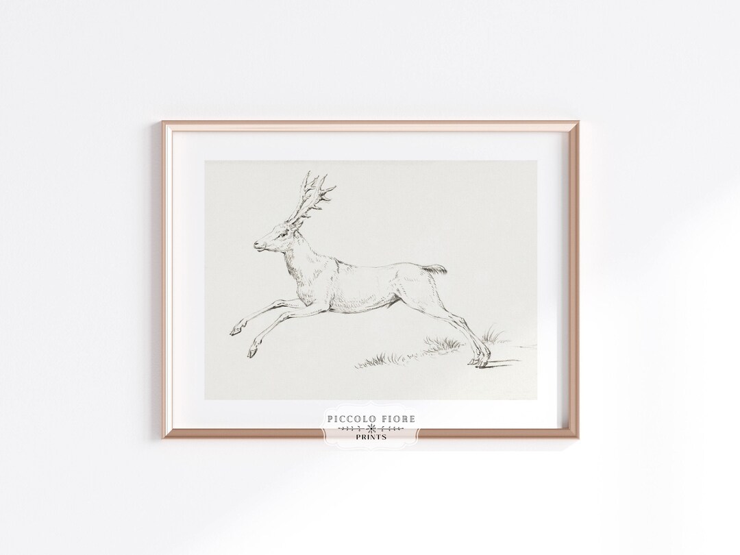 Vintage Jumping Stag Sketch | Deer Art Print | Neutral Home Decor ...