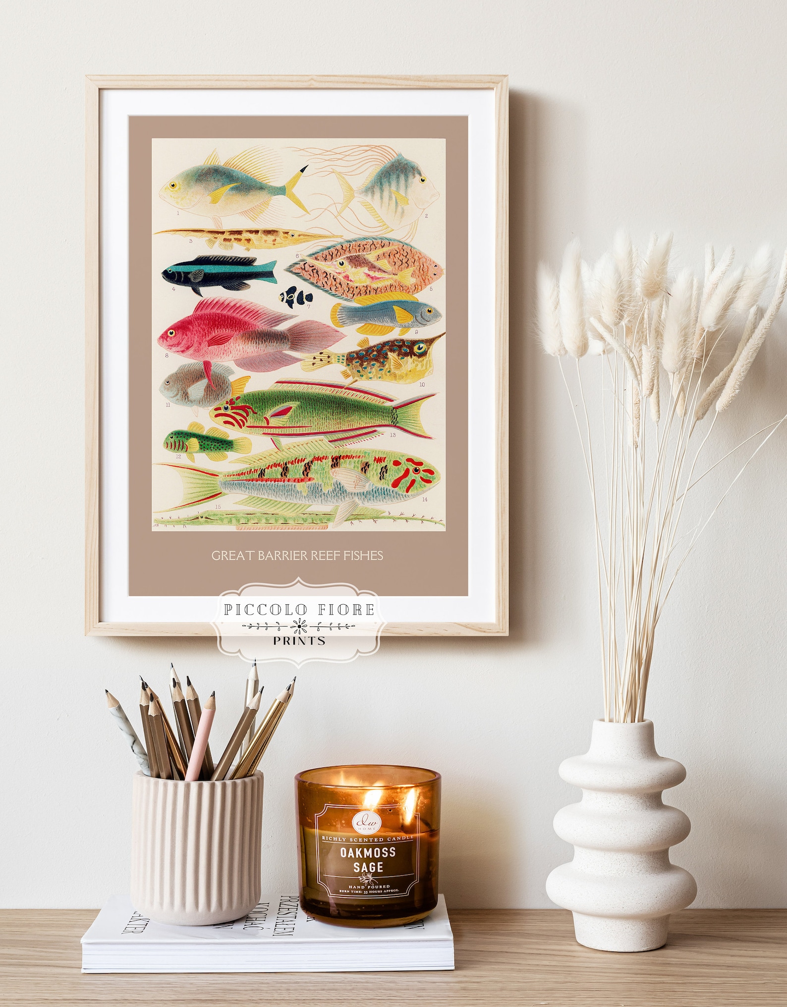 Vintage Fish Print Great Barrier Reef Australia Art Print - Etsy