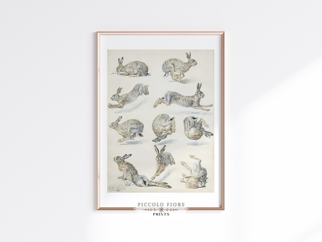 Vintage Hare Study Watercolour Painting in Beige, Grey and Cream ...