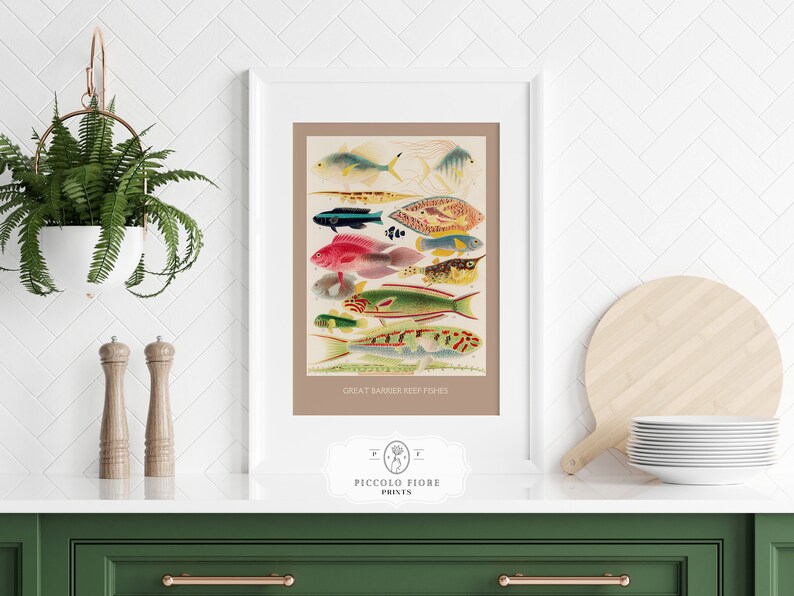 Vintage Fish Print Great Barrier Reef Australia Art Print - Etsy