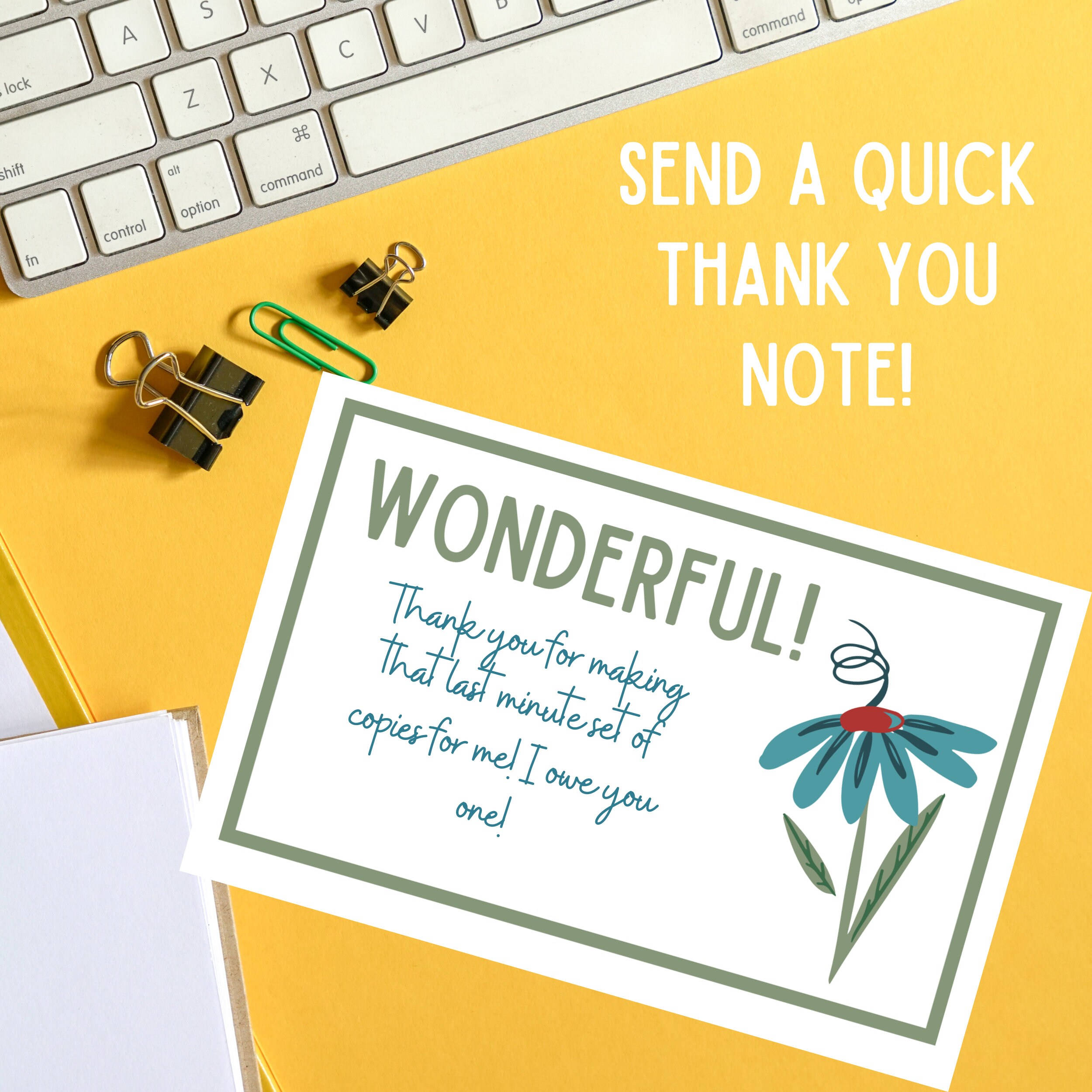 Wildflower Teacher Notes | Wildflower Classroom Decor | Wildflower ...