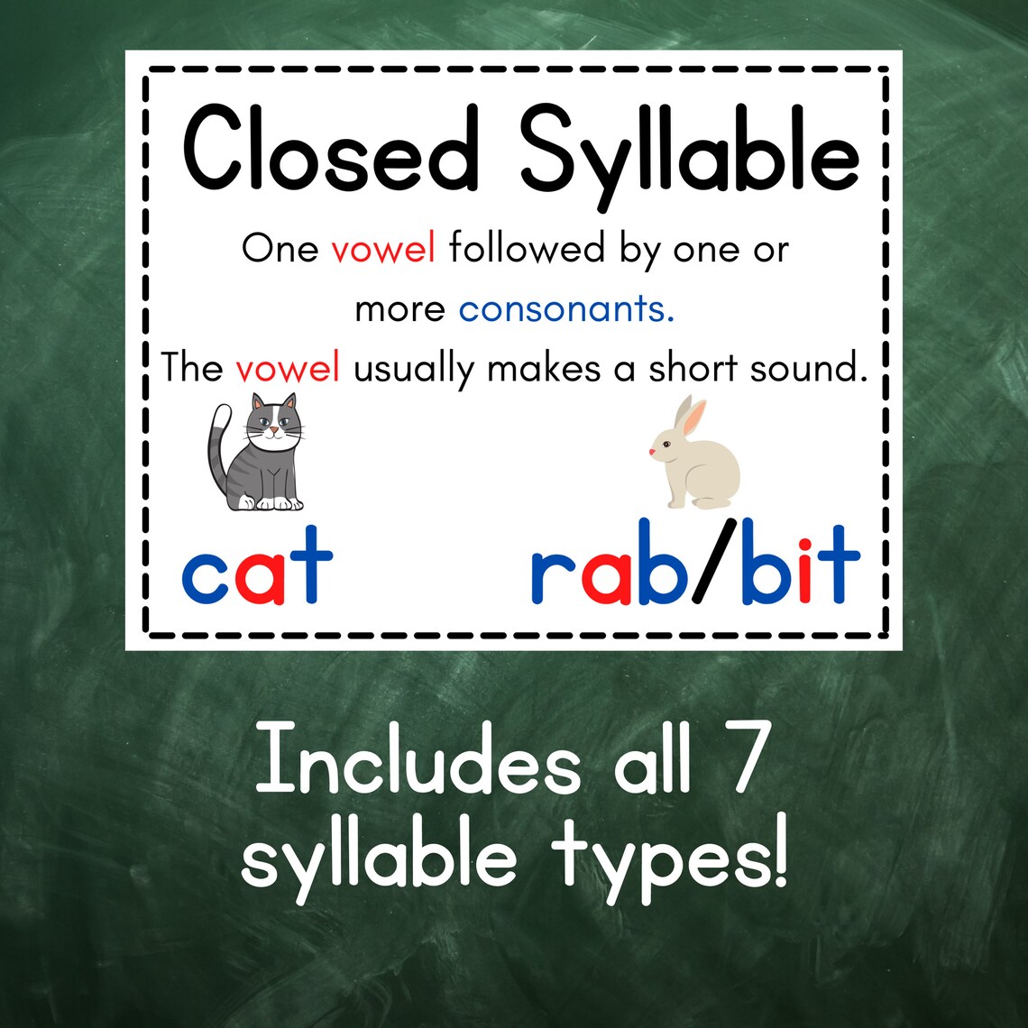 Syllable Type Posters Science of Reading Posters | Etsy