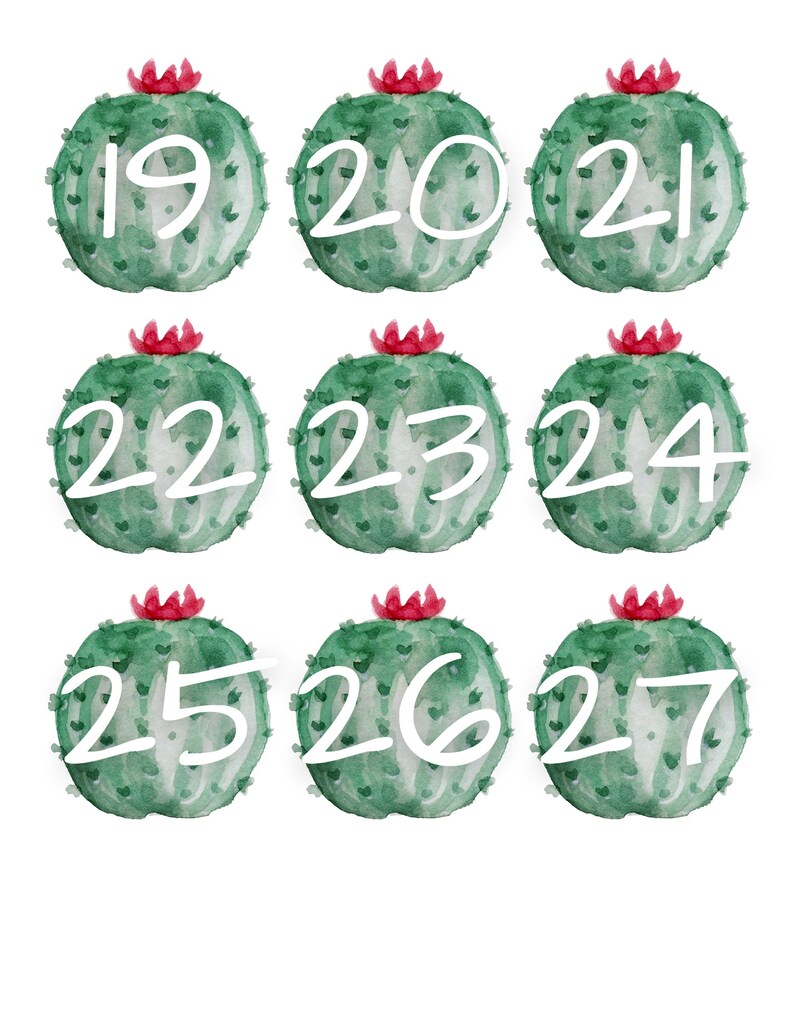 Cactus Classroom Decor Cactus Classroom Theme Elementary - Etsy