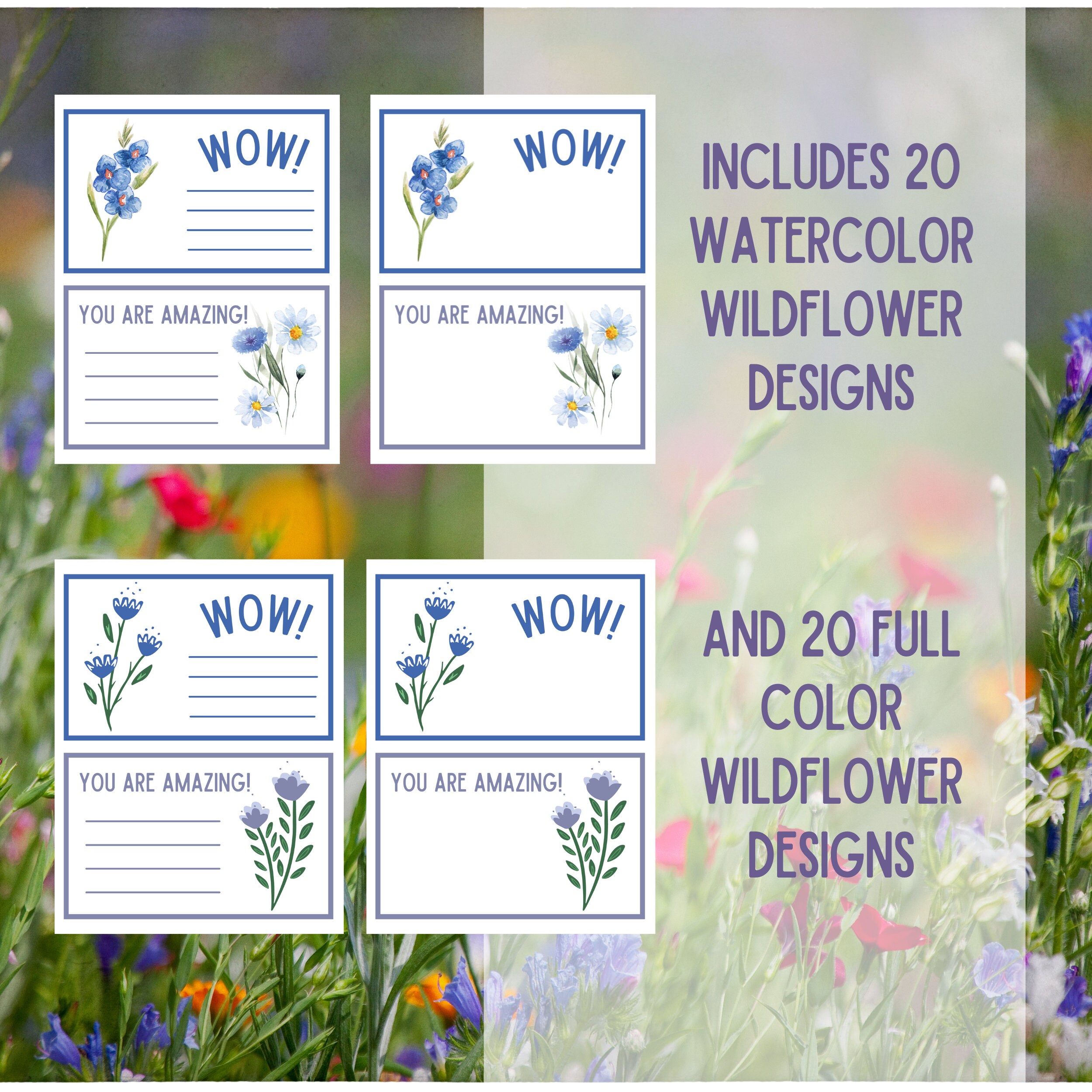 Wildflower Teacher Notes | Wildflower Classroom Decor | Wildflower ...