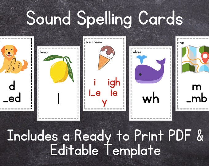 Nonsense Word Cards | Short Vowel Phonics Cards | Decoding CVC Blends ...