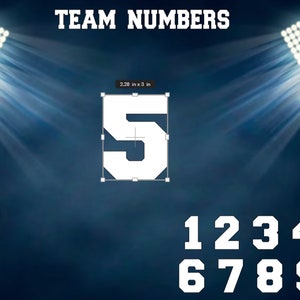 Sports Number / Team Number Vinyl Decal / Water Bottle Decal / - Etsy