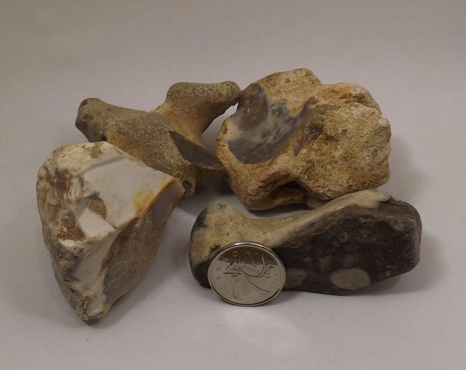 Parcel of 4 Natural Flint Nodules, Great for Flint Knapping, Fire ...