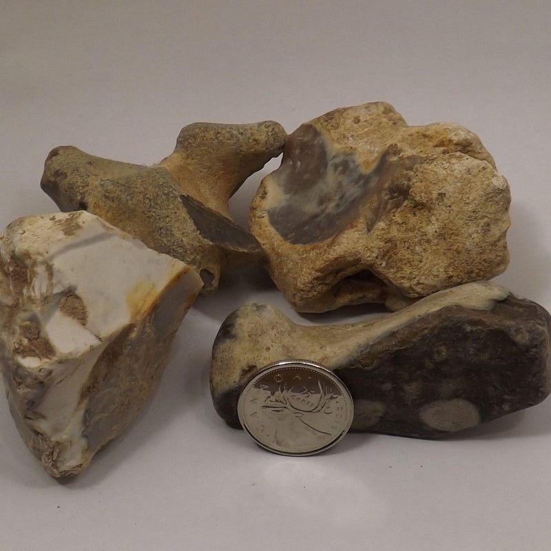 Flint and Steel Kit - Etsy