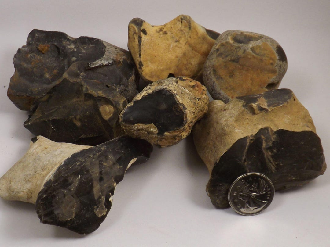 Parcel of 7 Natural Flint Nodules, Great for Flint Knapping, Fire ...