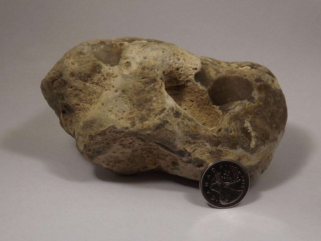 Untreated Grey Flint Nodule, Great for Flint Knapping or Carving, 621g ...