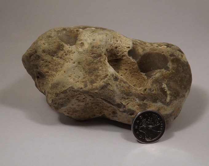 Untreated Grey Flint Nodule, Great for Flint Knapping or Carving, 621g ...