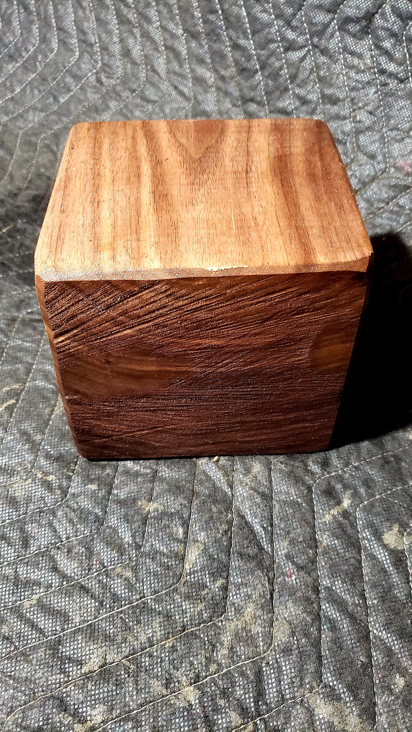 ONE 1 555 THICK Agrade Black Walnut Turning Bowl Blanks. Carving Wood ...