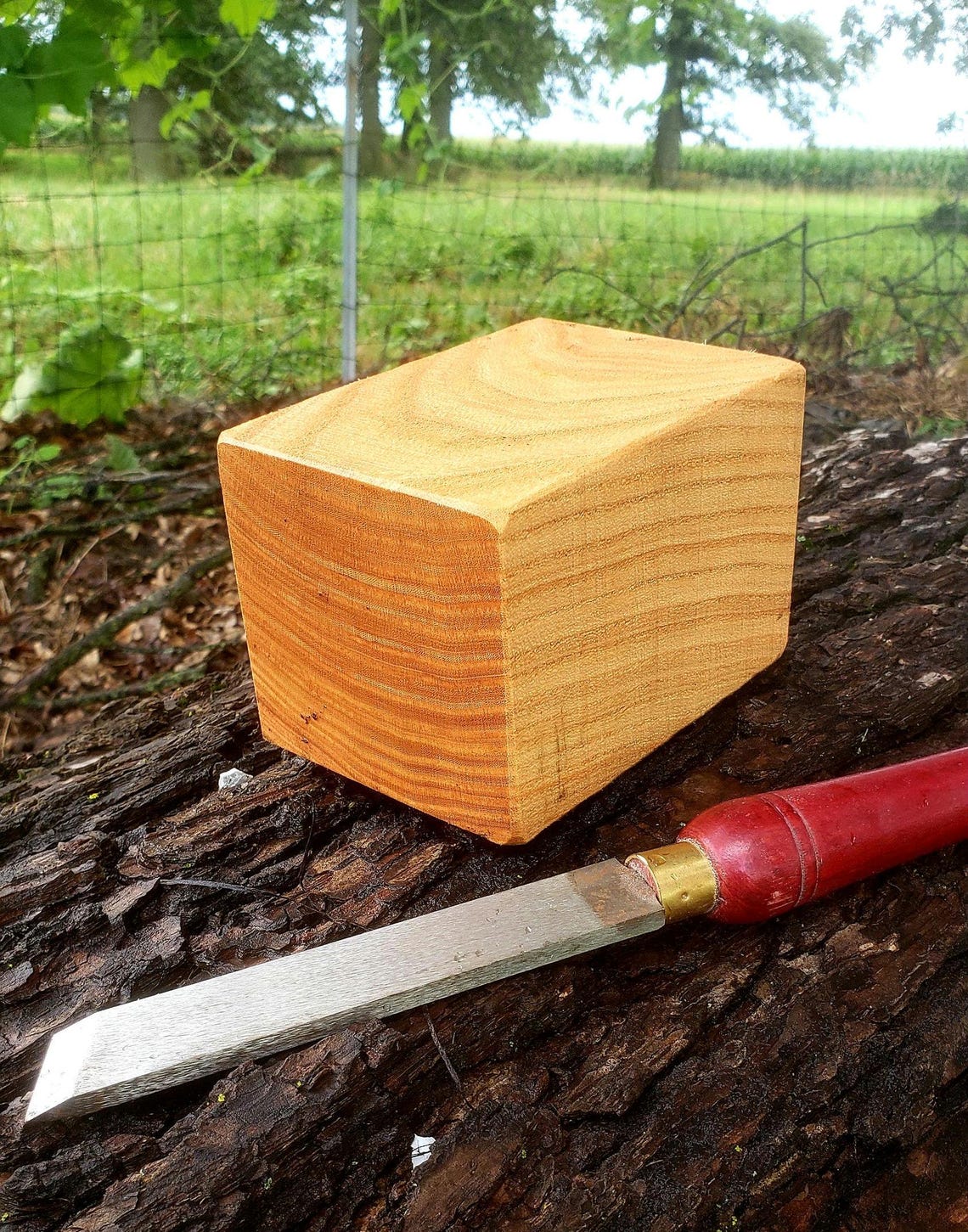 4"×4"×6" Honey Locust Turning Blanks. Vase Blanks Carving Wood Lathe ...