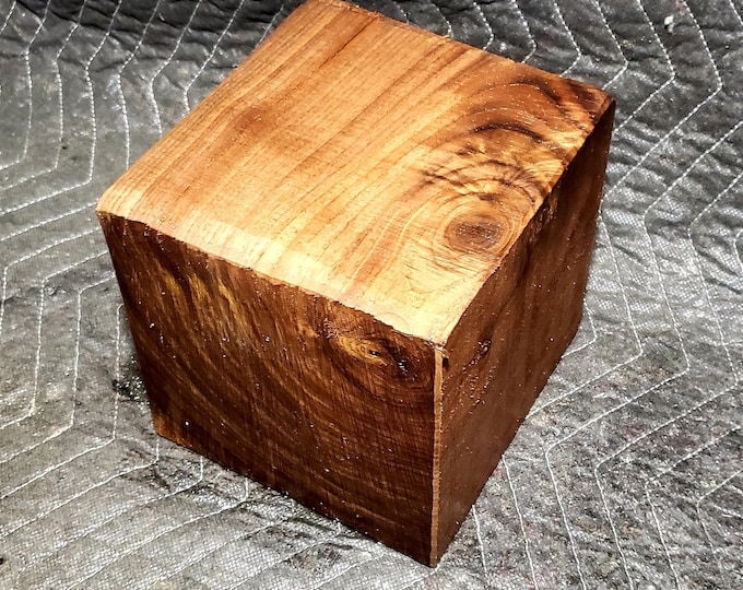Large 6" Square Black Walnut Lathe Turning Blanks. Vase Blanks Carving ...