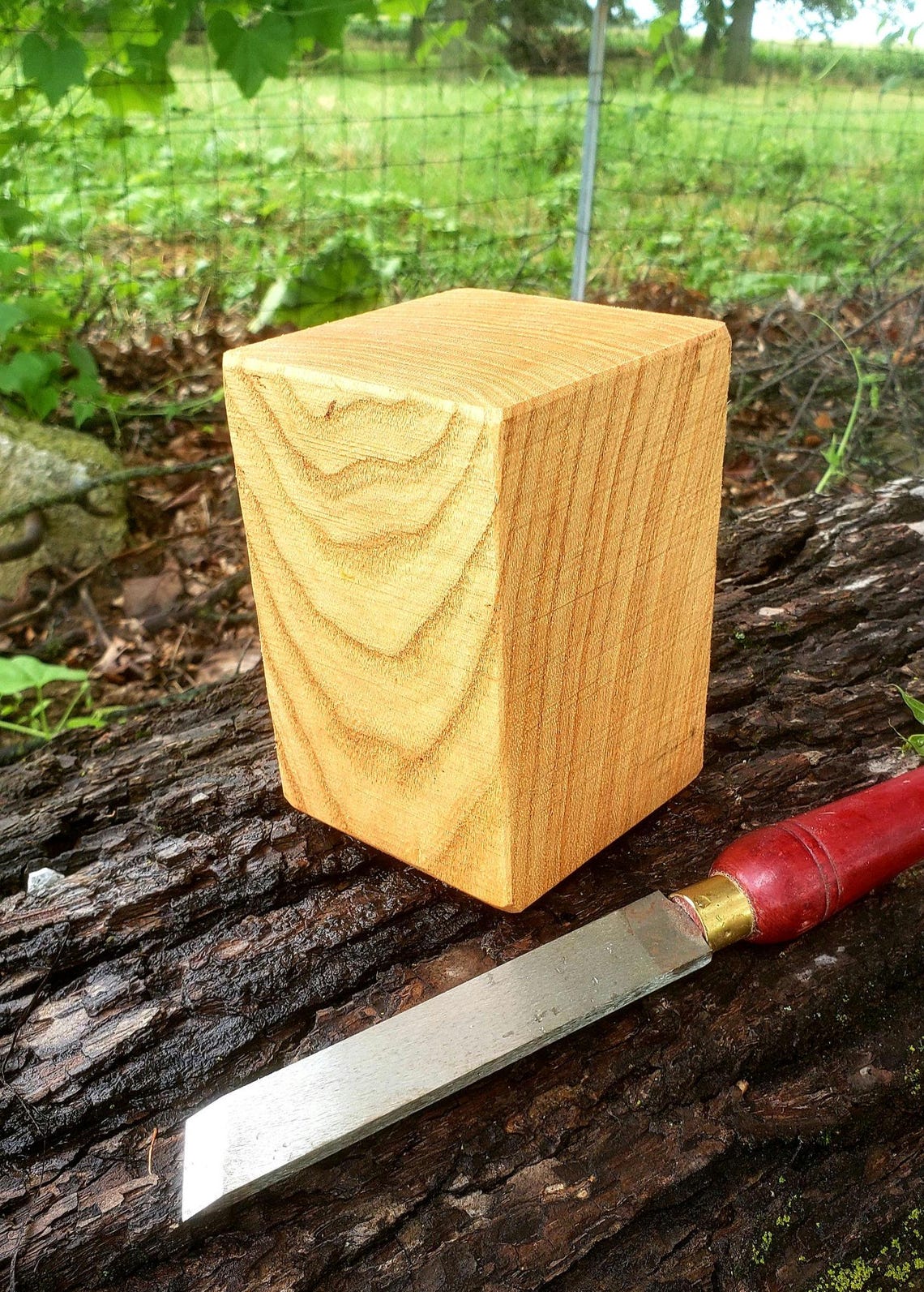 4"×4"×6" Honey Locust Turning Blanks. Vase Blanks Carving Wood Lathe ...