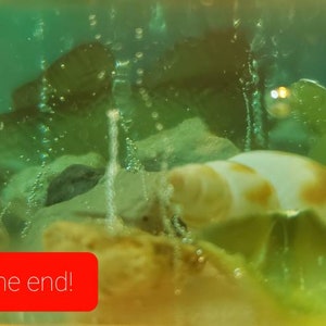 Real 3d Fish Aquatic Epoxy River Table With Realistic - Etsy