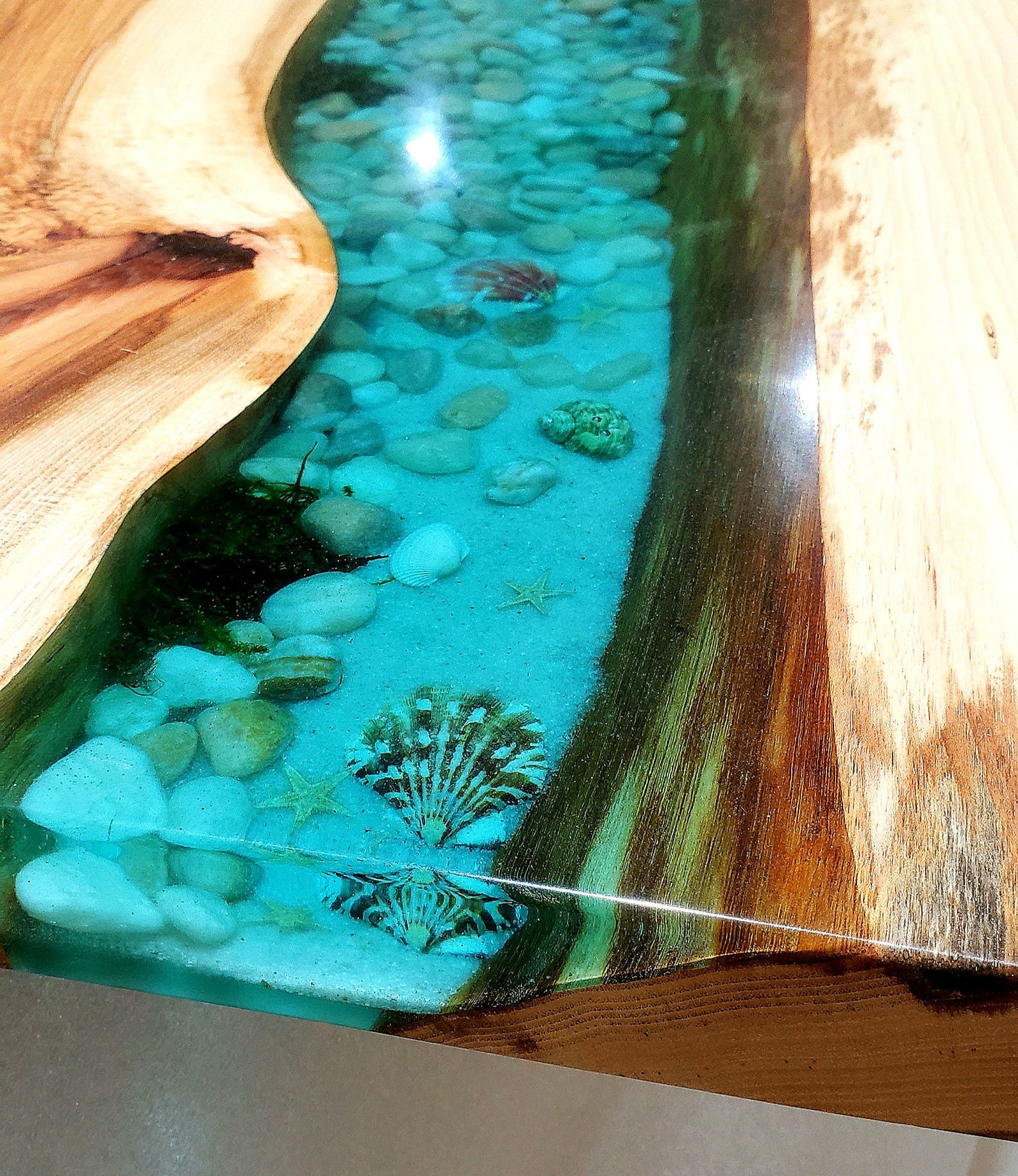 USA- Hickory +blue Epoxy Ocean Tables. Shells Plants,starfish and ...