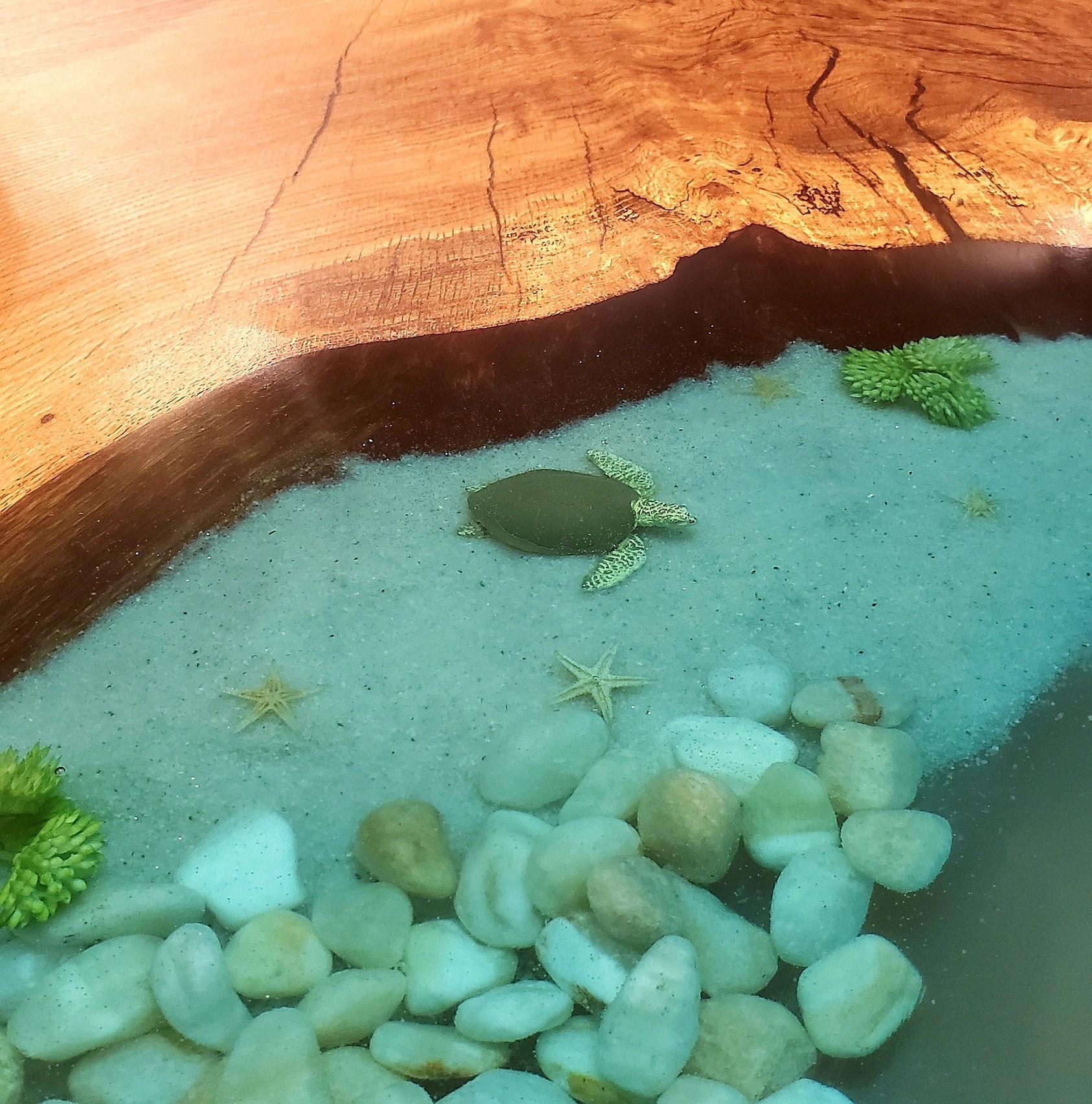 Usa-white Oak Blue Epoxy Ocean Tables. Shells Plants,starfish and ...