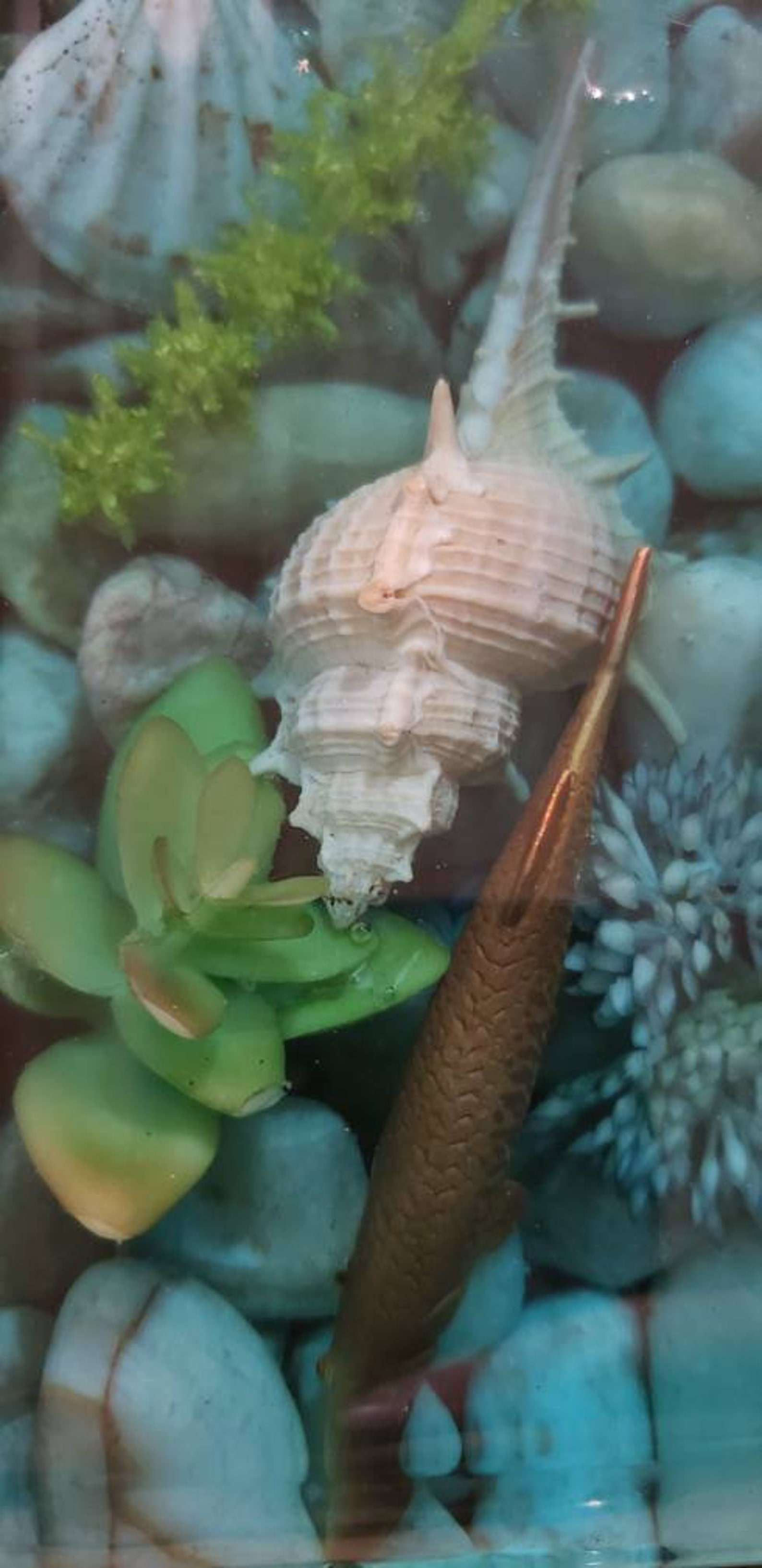 Real 3d Fish Aquatic Epoxy River Table With Realistic - Etsy