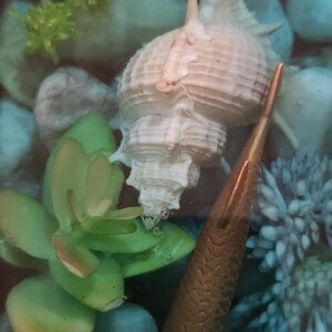 Real 3d Fish Aquatic Epoxy River Table, With Realistic Northern Fish ...