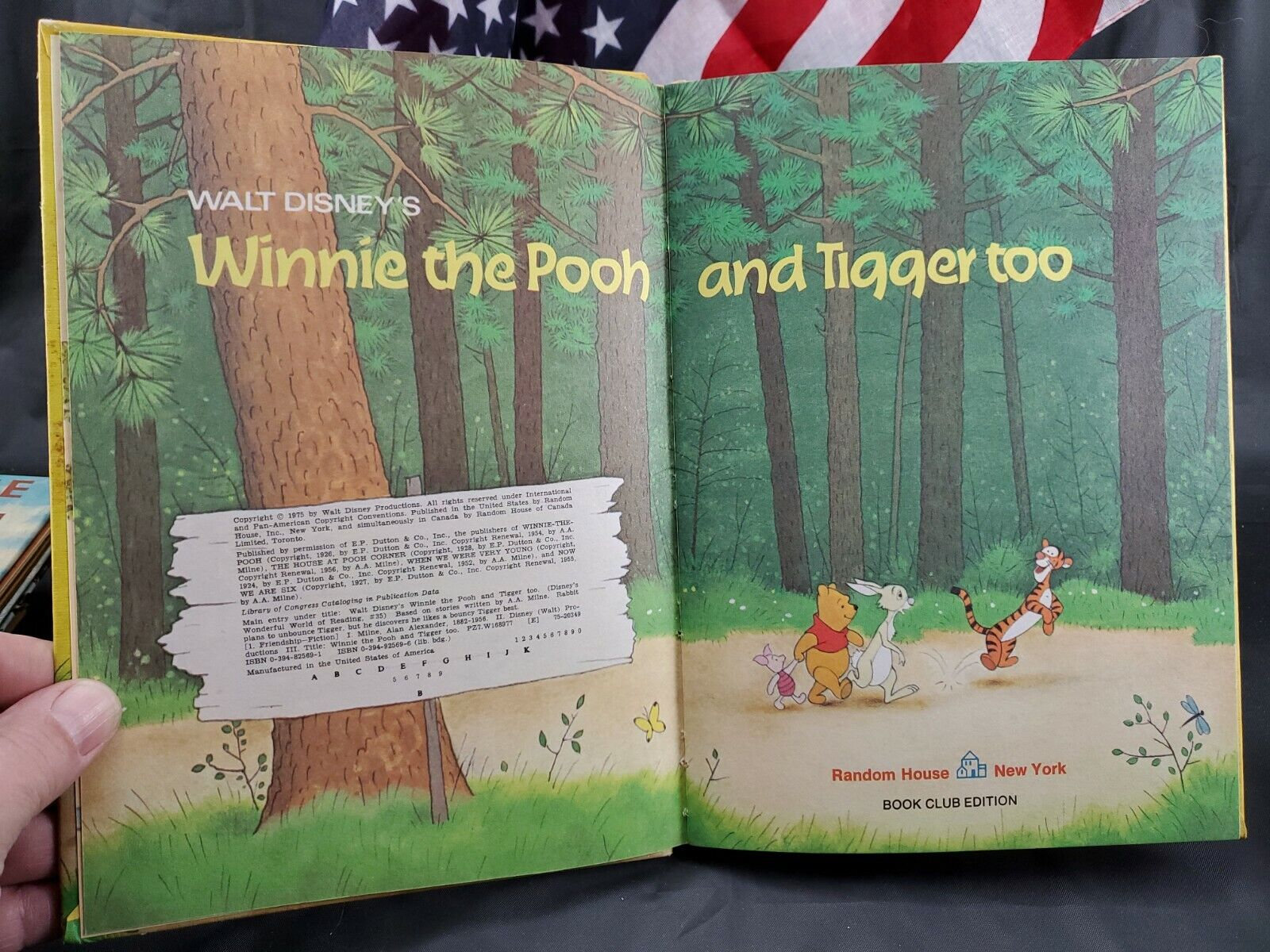 Winnie the Pooh and Tigger Too Book - Etsy