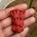 54.90cts Coral Raw, Natural Red Coral Rough Stone, High Quality Uncut ...