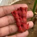 54.90cts Coral Raw, Natural Red Coral Rough Stone, High Quality Uncut ...