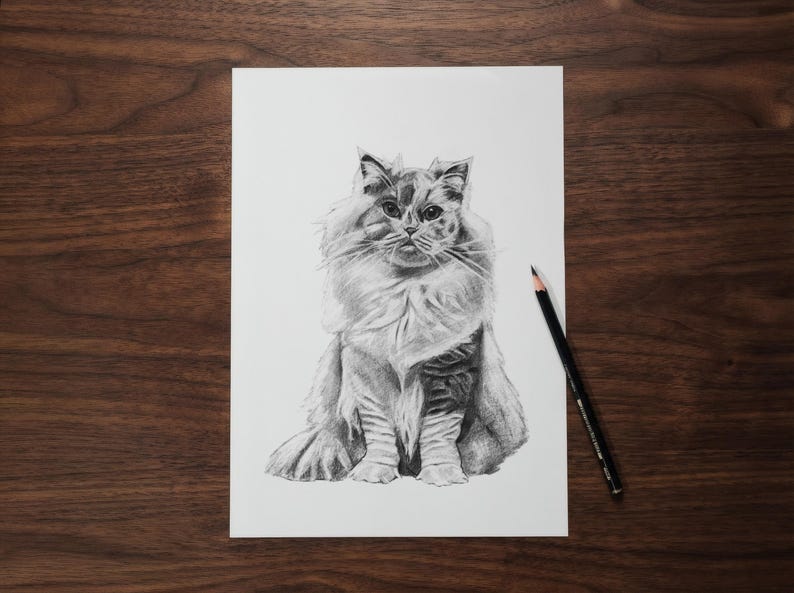 Favorite Photo of Pet as a Drawing, Hand-drawn Pet Portrait From a ...