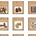 Natural Objects and Math Resources Sand Natural Classroom Labels - Etsy