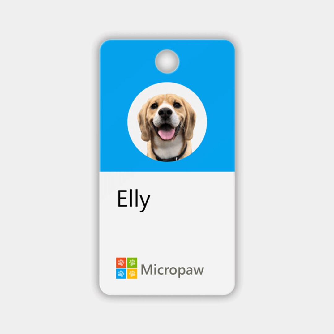 Custom Microsoft-inspired Pet ID Tag (pack of 3s) | Micropaw ...