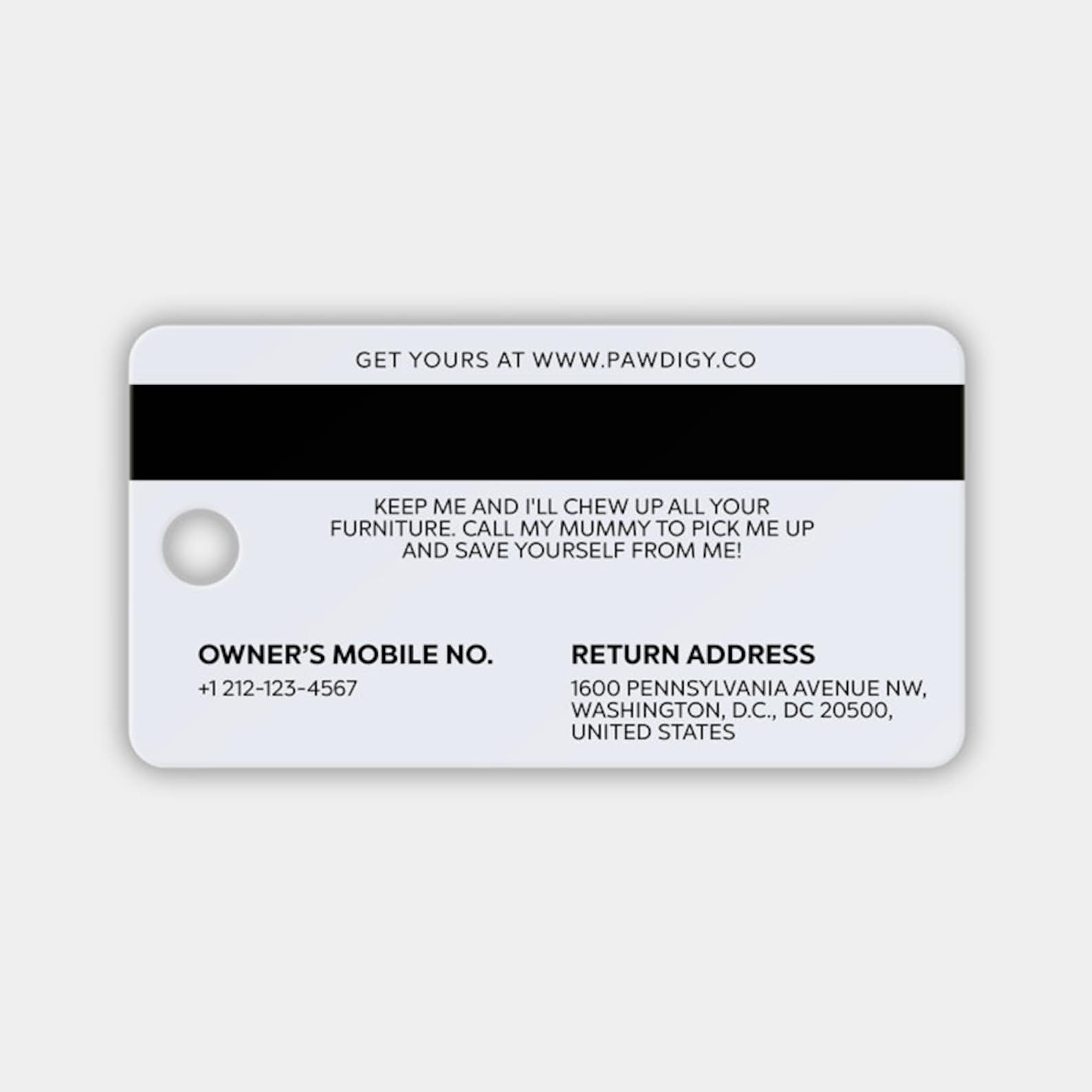 Custom Harvard University-inspired Pet Dog ID Tag (pack of 3s ...