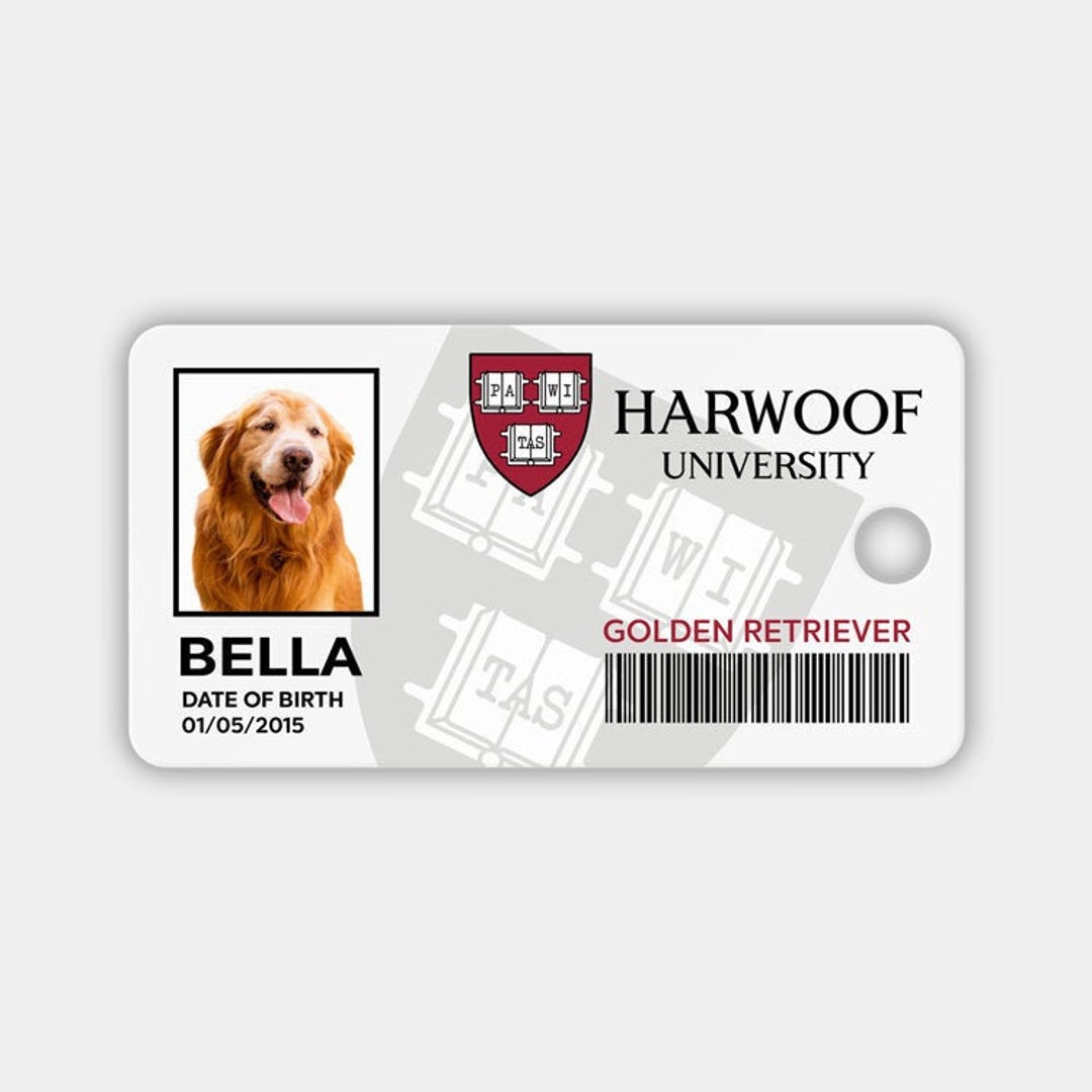Custom Harvard University-inspired Pet Dog ID Tag (pack of 3s ...