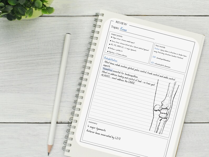 Printable Minimalist University Lecture Summary Template PDF Download ...