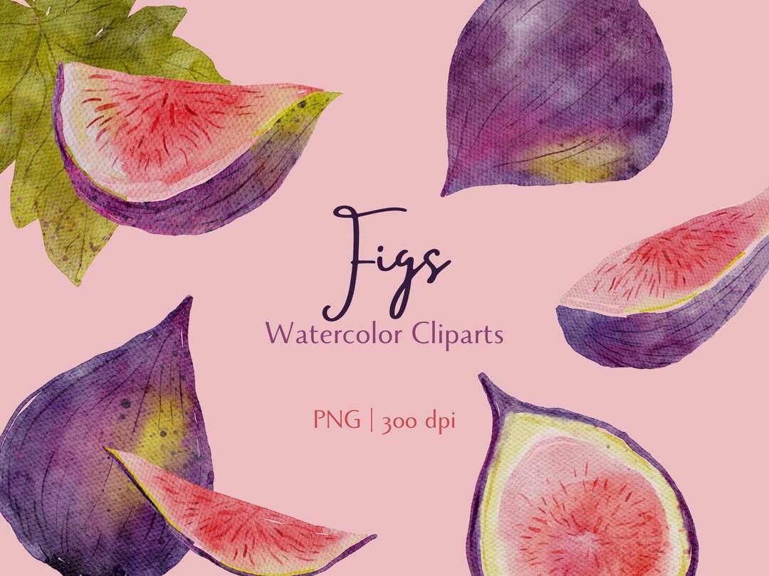 Watercolor Figs Clipart Set - Fruit Illustrations for Handmade Projects ...