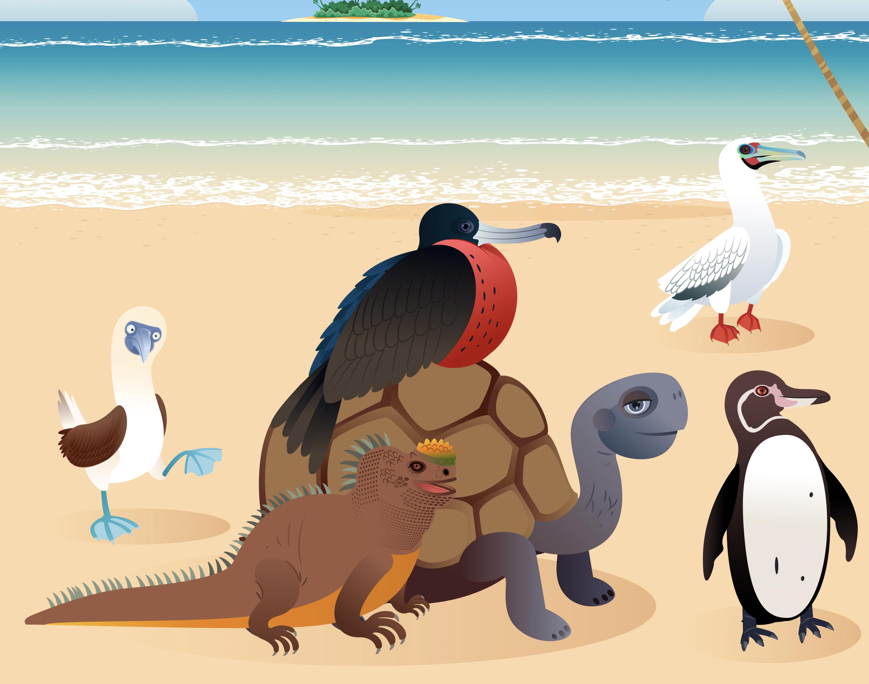 Galapagos Islands Animal Map Poster | Educational Wildlife Art (digital ...