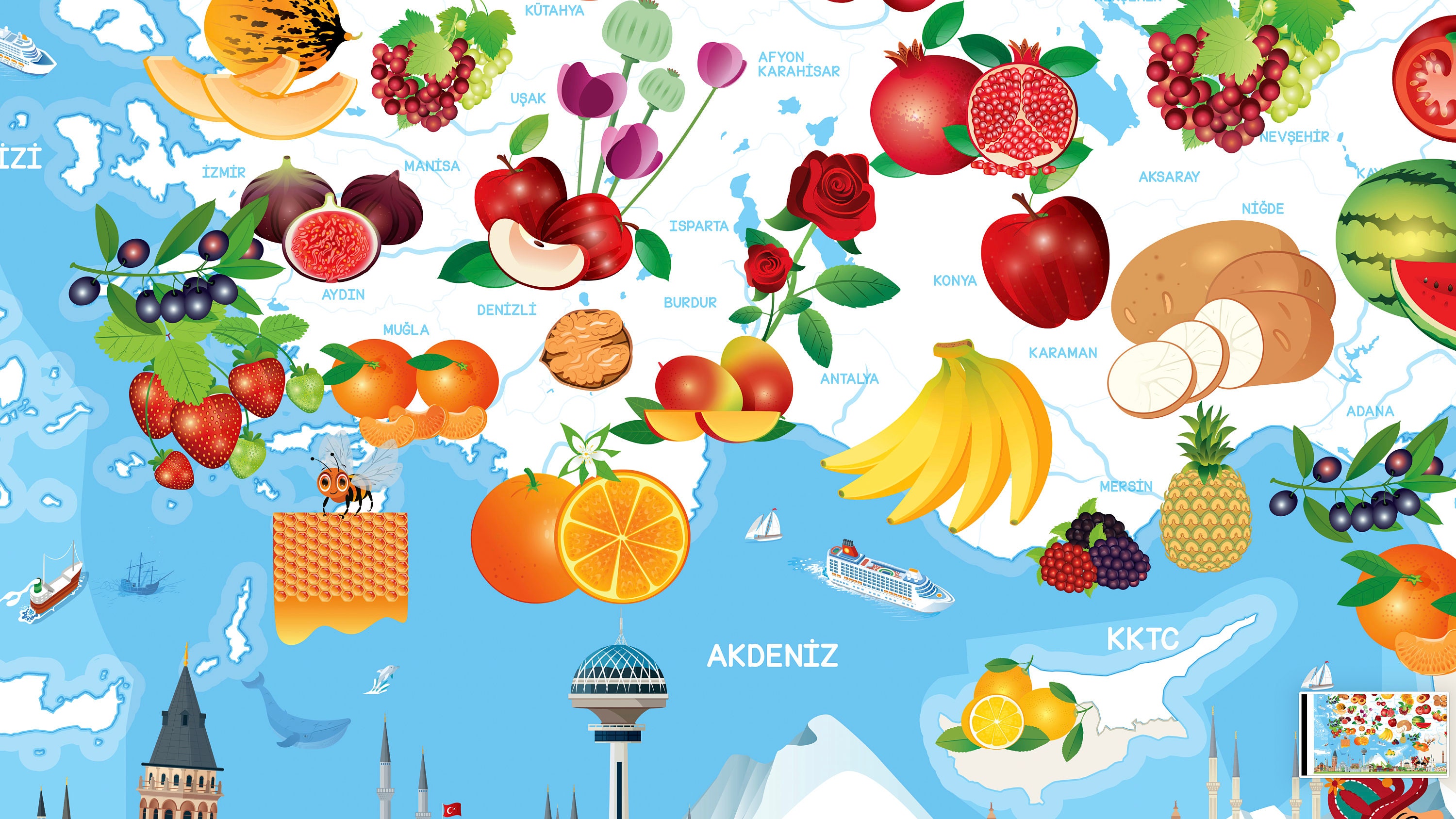 Turkey Cartoon Map Poster, Istanbul Cartoon Map Poster Matte Horizontal ...