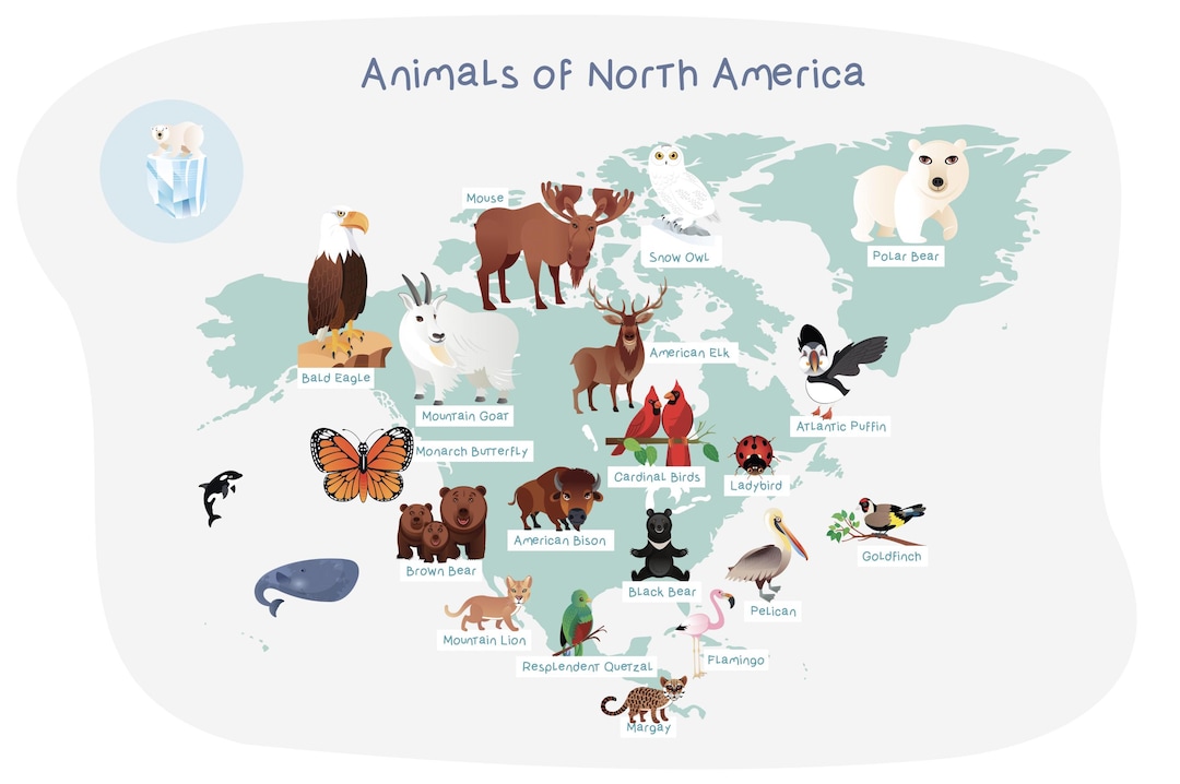 North America Animals Map Poster, USA Animals Map Poster, Canada ...