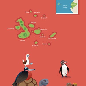 Galapagos Islands Animal Map Poster | Educational Wildlife Art (digital ...