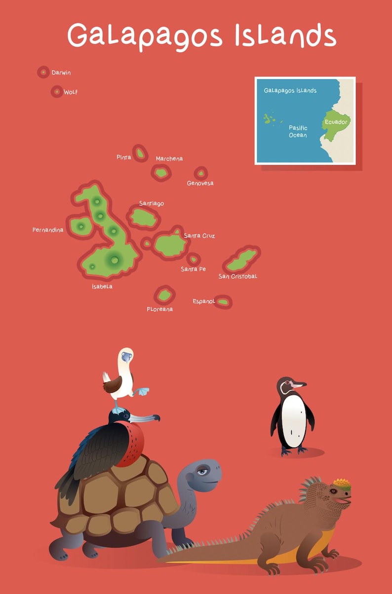 Galapagos Islands Animal Map Poster | Educational Wildlife Art (digital ...