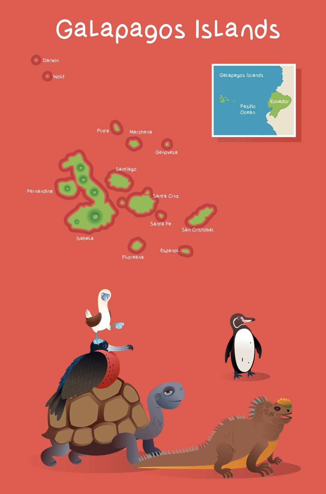 Galapagos Islands Animal Map Poster | Educational Wildlife Art (digital ...